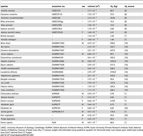 Convex Hull Specimen List And Sources Of Body Mass Download Table