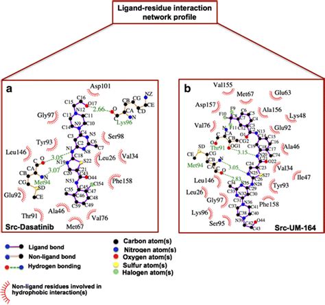 2d Ligand Residue Interaction Network From Fully Minimised Complex Of
