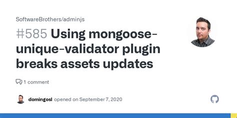 Using Mongoose Unique Validator Plugin Breaks Assets Updates · Issue