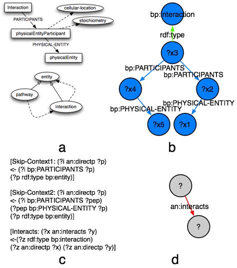 Abstraction Of Interactions From Pathways A A Fragment Of Biopax