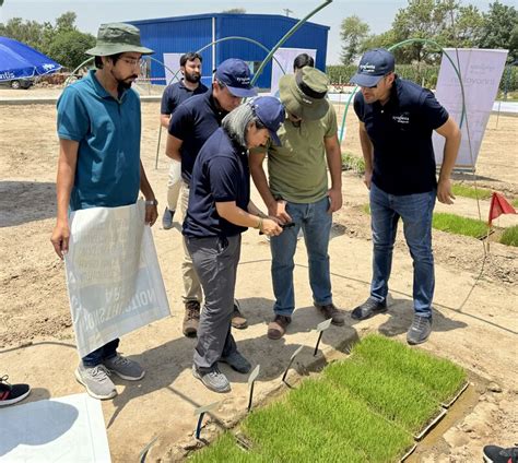 Muhammad Tauseef Ul Haq On Linkedin Syngentapakistan Syngenta Syngentacpd Syngentabiologicals