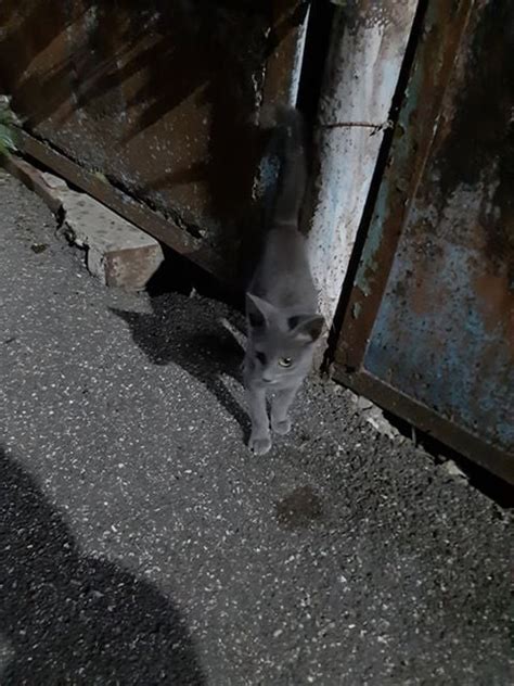 ქუთაისი ツ Home Facebook