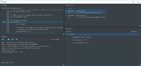 Golang Delve Howto Howto Techno