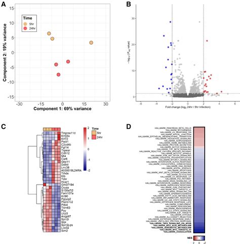 Identifying Genetic Determinants Of Streptococcus Pyogenes Host Interactions In A Murine Intact Identifying Genetic Determinants Of Streptococcus Pyogenes Host Interactions In A Murine Intact