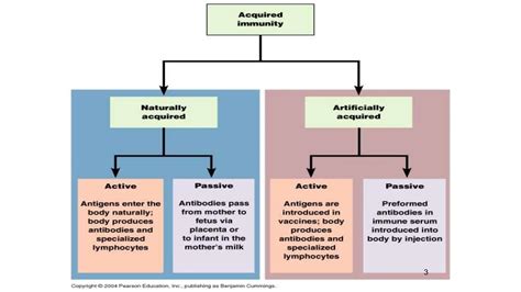Immunity In Medical Nursing At University Pptx Biological Sciences Science