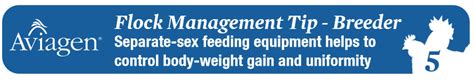 Flock Management Tip For Breeders Separate Sex Feeding Equipment Helps To Control Body Weight