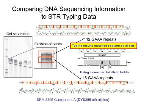 Chapter 10 Str Typing And Data Interpretation Fundamentals