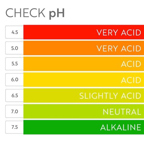 Ph 값 스케일 차트 산 염기 균형 인포그래픽 교육 포스터 프리미엄 벡터
