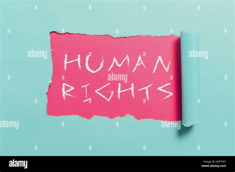 Text Showing Inspiration Human Rights Business Overview Moral