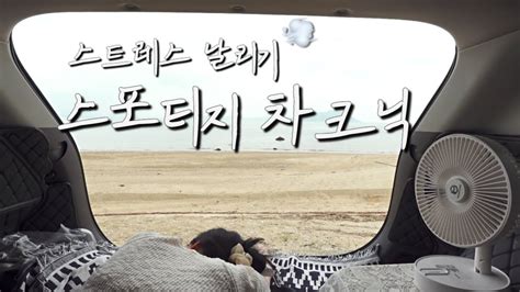 초록 끝판왕 보성 녹차밭 즐기고바다앞 스포티지 차크닉도 즐기고초록뷰와 바다뷰를 하루에샌드위치•녹차라떼 만들기완벽한 하루
