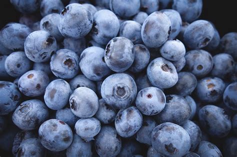 Blueberry Health Benefits Reasons To Eat Blueberries Every Day
