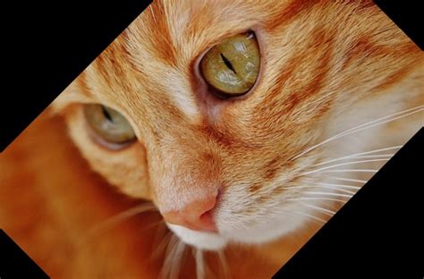 Image Rotation And Translation Using Opencv