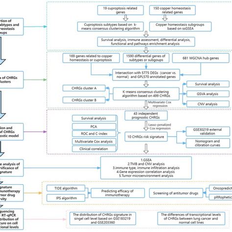 The Specific Workflow Graph Of Data Analysis Download Scientific Diagram