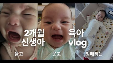 울고 먹고 싸고 멍때리고 인생 2개월차 아기의 일상ᐠ ᐕ ᐟ Youtube