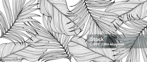 야자수와 바나나 잎이 있는 흑백의 세련된 열대 그림 색칠하기 책 장식 디자인 엽서 프레젠테이션의 배경 0명에 대한 스톡 벡터 아트 및 기타 이미지 Istock