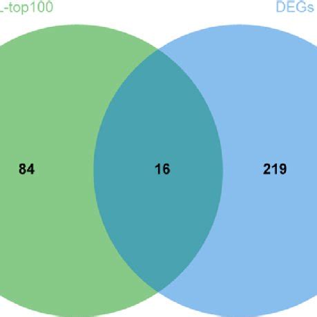 Venn Map Of Differential Expression Analysis And Machine Learning The
