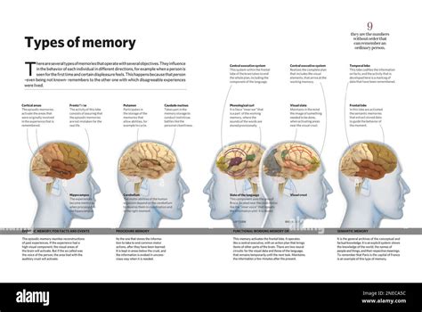 Episodic Memory