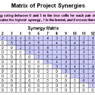Synergy Matrix For Example Program Download Scientific Diagram