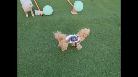 친구들아 반가워😍 Youtube