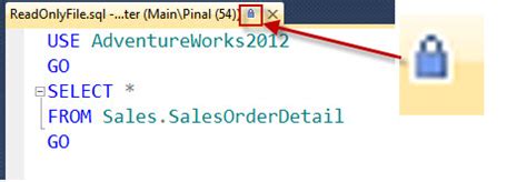 SQL SERVER Read Only Files And SQL Server Management Studio SSMS SQL Authority With Pinal Dave