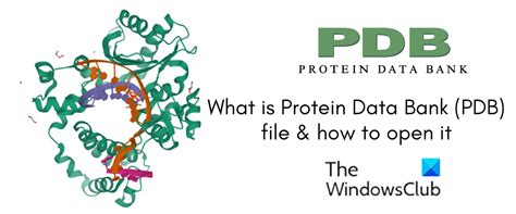 What Is Protein Data Bank Pdb File How To Open It In Windows