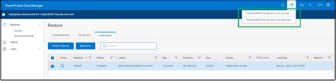 Quick Recovery To An Alternate Kubernetes Cluster Dell Powerprotect
