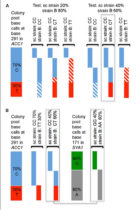 Figure 1 From Multi Locus Next Generation Sequence Typing Of Dna
