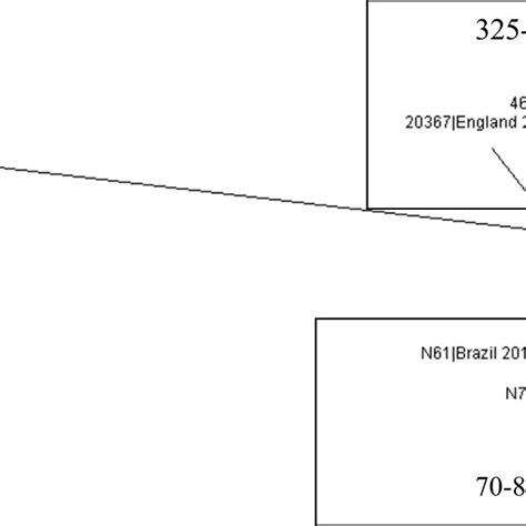 Phylogenetic Network Created On Splitstree V50 Based On Cgmlst