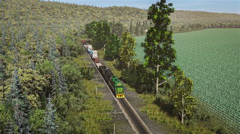 T Ane Trs19 And Trs22 Community