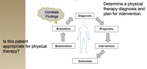 Diagnostic Models Of Clinical Examination Flashcards Quizlet