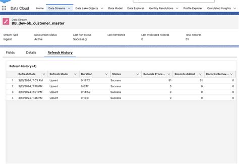 Data Cloud Ingestion Api Bulk Pattern Proof Of Concept Endpoint