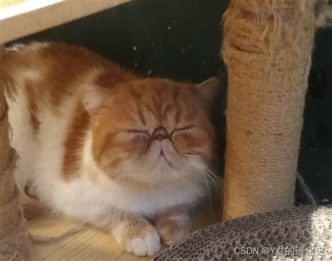 C语言动态内存管理函数c语言动态内存管理函数 Csdn博客