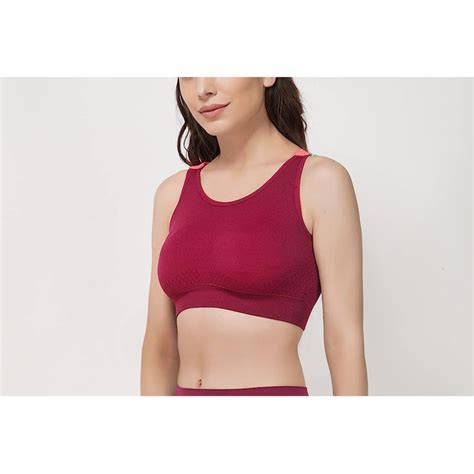 Buy Brachy Maroon Gym Workout High Impact And Full Coverage Crostini