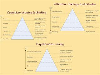 NM3204 Week 6 Domains Of Learning