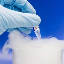 Pharmaceutical Testing Labels Electronic Imaging Materials