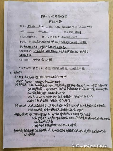 诊断学实验报告仅供参考 知乎