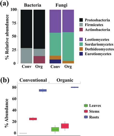 Diversity Of Fungal And Bacterial Endophytes Isolated From Fields Under Download Scientific