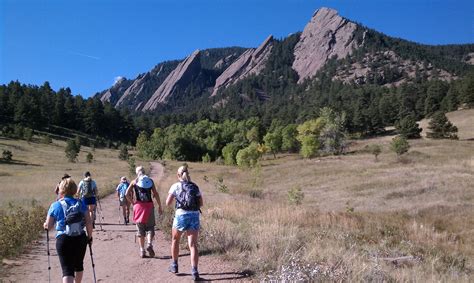 healthy learning paths are you looking for a great volunteer position well we have one for