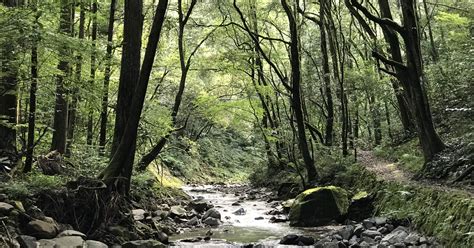 Cloud Formationを使ってgolang製lambdaのcicdをgithub Actionsで構築してみた｜shift Group