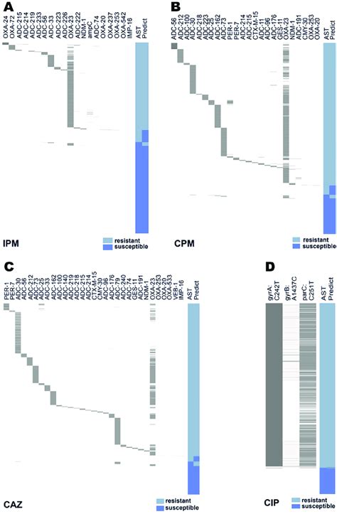 Machine Learning To Screen Key Antimicrobial Resistance Amr Features