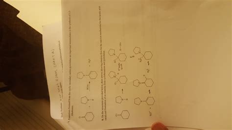 Solved Enamines Formed From The Cyclic Secondary Amine