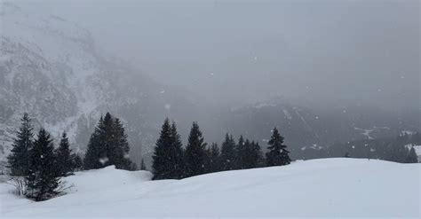 집 밖의 가루 감기 겨울 경치 경치가 좋은 고요한 고요함 관광 광야 나무 날씨 냉담한 눈 눈 내리는 눈보라 눈이 내리는 리조트 모험 산