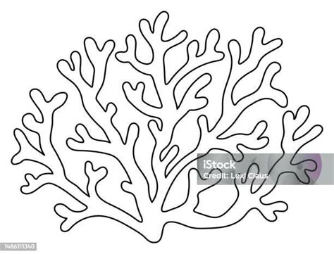 벡터 흑백 산호 아이콘입니다 귀여운 해초가 있는 바다 선 그림 아래 해양 식물 클립 아트입니다 어린이를 위한 수중 또는 해양 클립 아트 또는 색칠 공부 페이지 0명에 대한