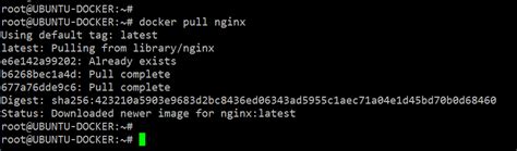Nginx Docker Image 內容初探