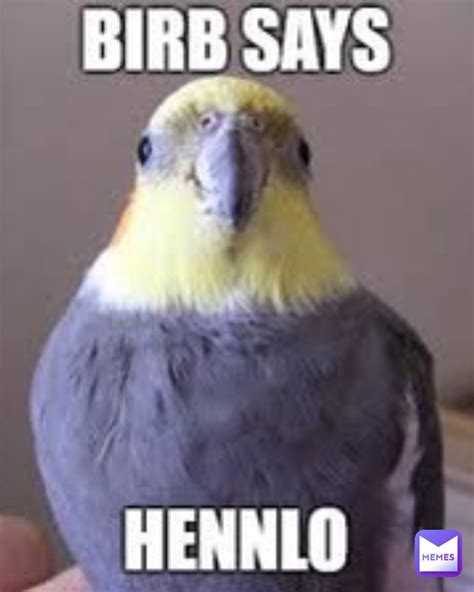 Post By Lomdabom Memes