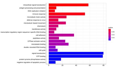 联合分析专题（三）：转录组 代谢组联合分析的研究思路 武汉灵思生物技术有限公司