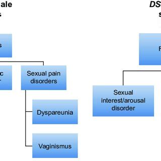 Comparison Of The Old And New Classifications For Female Sexual Download Scientific Diagram