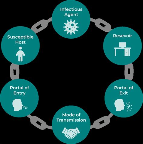 Breaking The Chain Of Infection Infection Control Guide