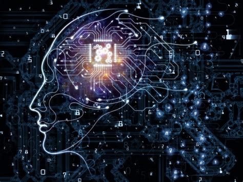 Computer Science Vs Software Engineering Open Universities Australia