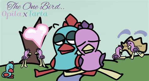 The One Bird Part 1 Opila X Tarta Fandom